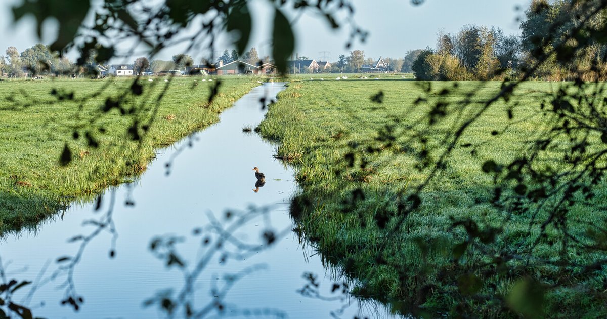 Leggers | Hoogheemraadschap van Schieland en de Krimpenerwaard